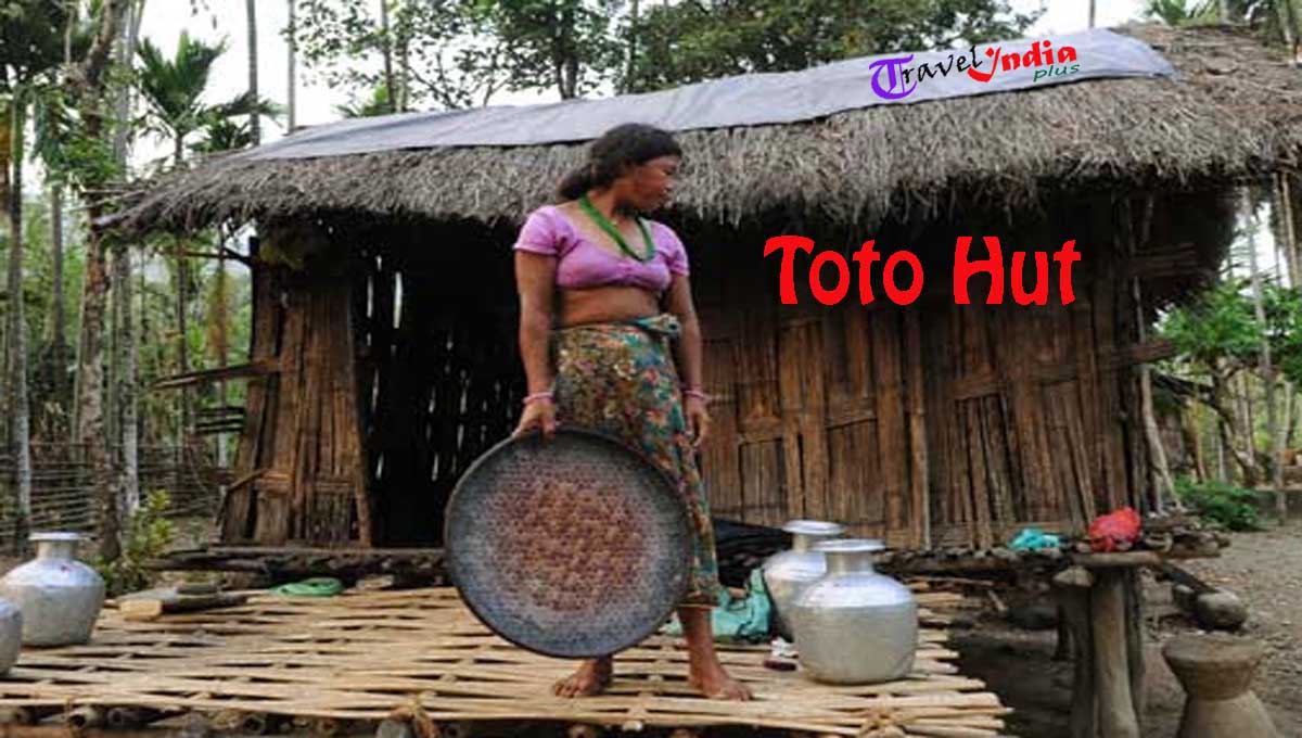 Toto Tribes Are Still Struggling For Their Existence April