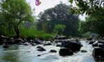 5 Most beautiful Natural Paradise To visit in Kerala 2025 September